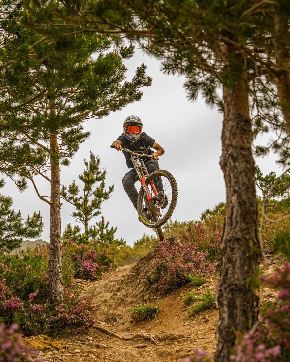 Bike Park – La Pinilla Mountain Resorts